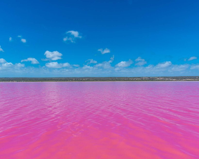 7 superbes destinations pour voir un lac rose en Australie | KAYAK