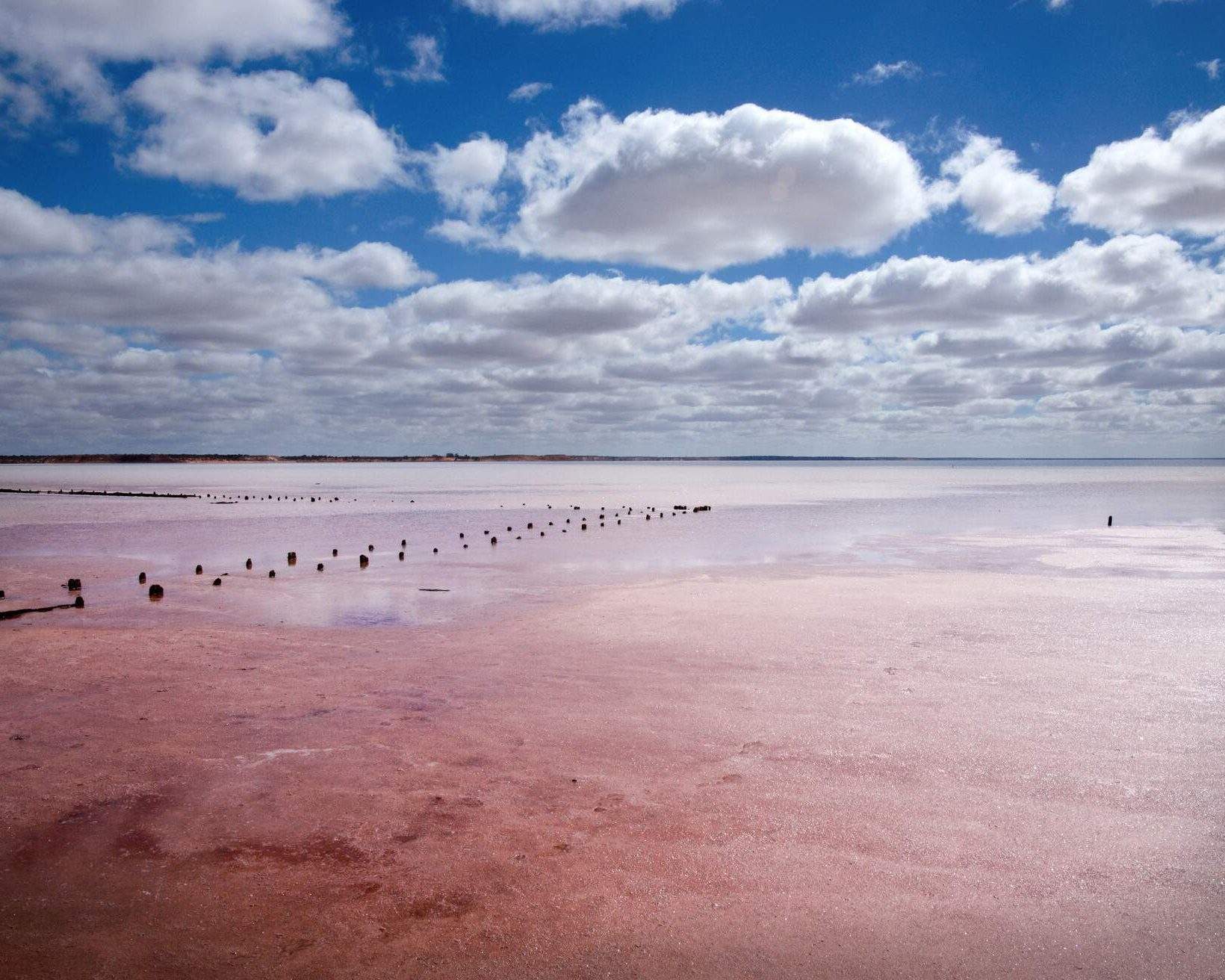 7 superbes destinations pour voir un lac rose en Australie | KAYAK