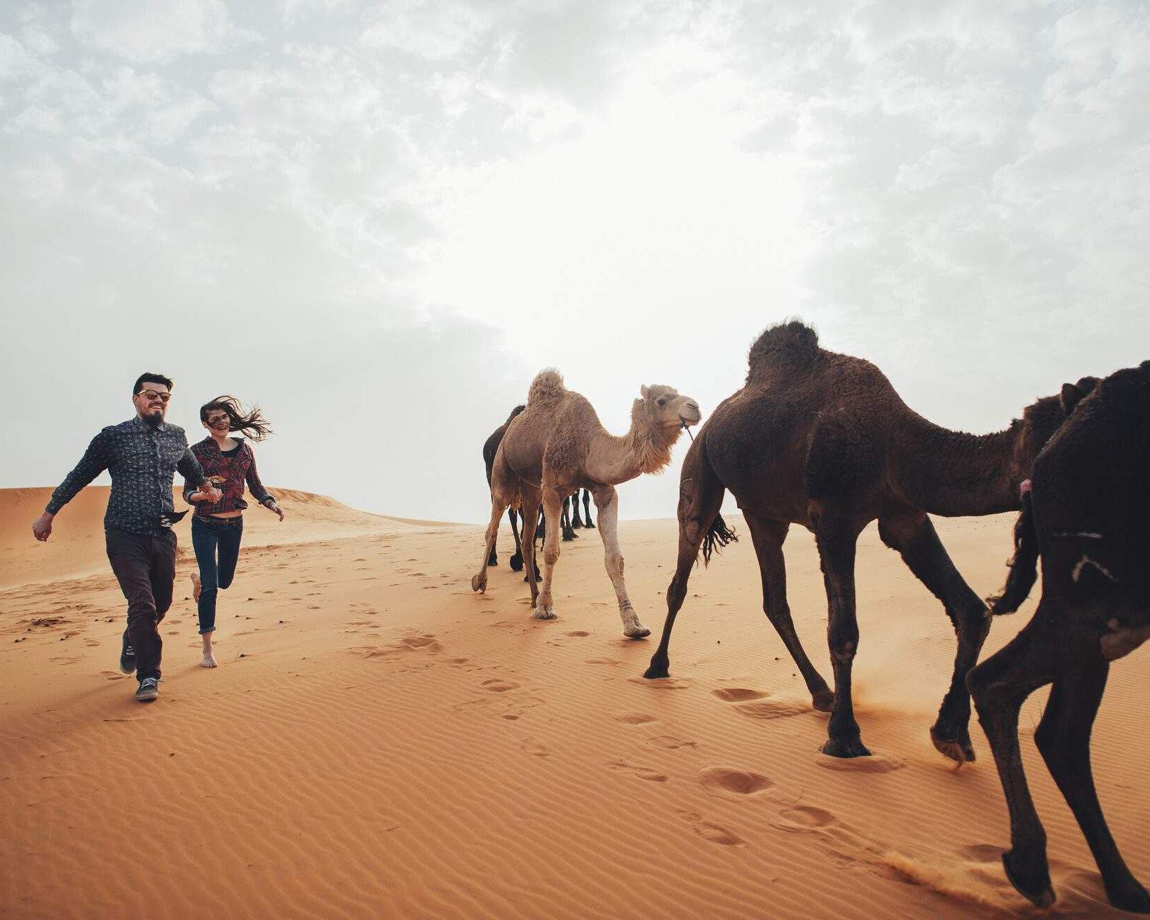 Les 7 plus beaux sites naturels du Maroc – un guide | KAYAK