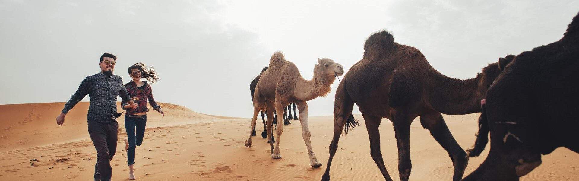 Les 7 plus beaux sites naturels du Maroc – un guide | KAYAK