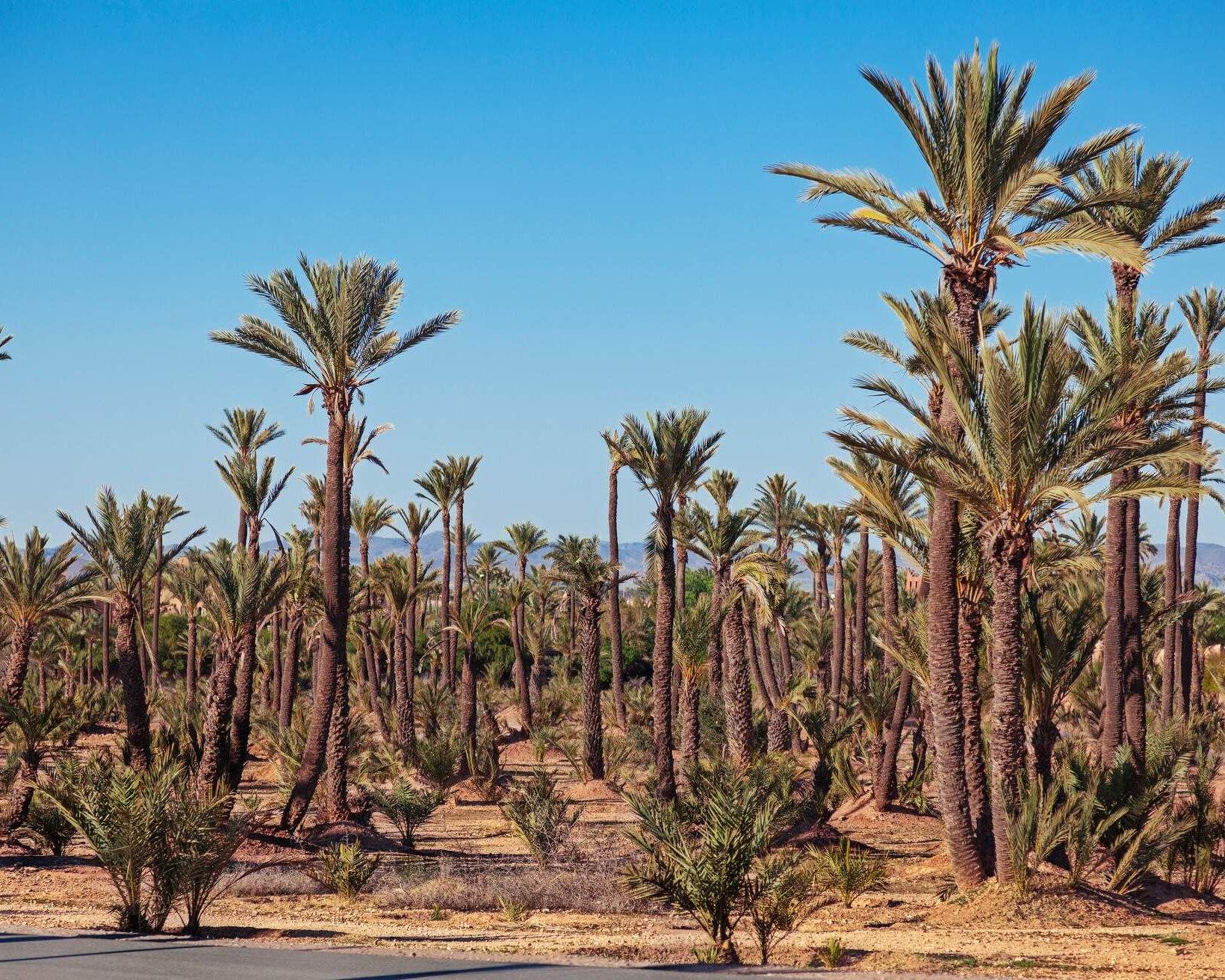 Découvrez les plus belles villes du Maroc | KAYAK