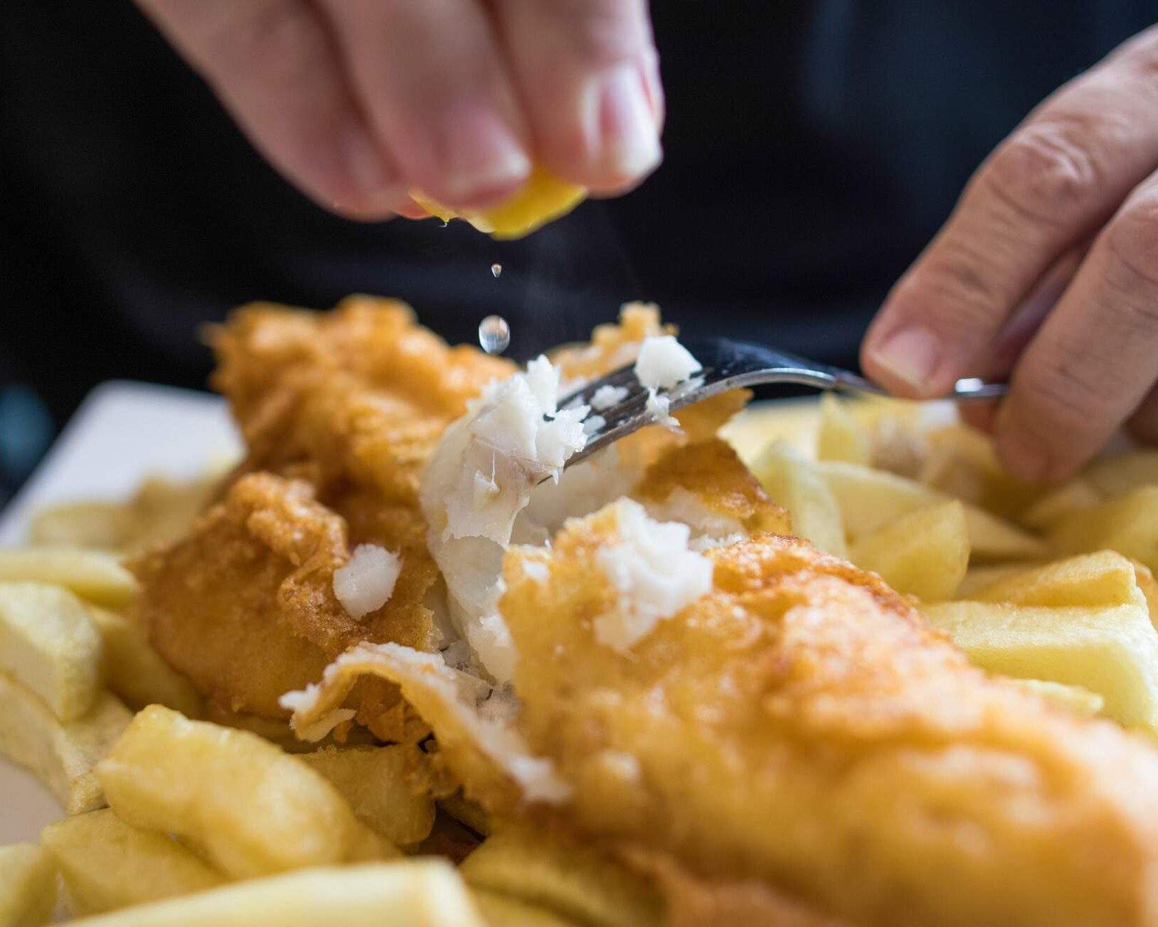 Les meilleurs restaurants où manger à Montpellier | KAYAK