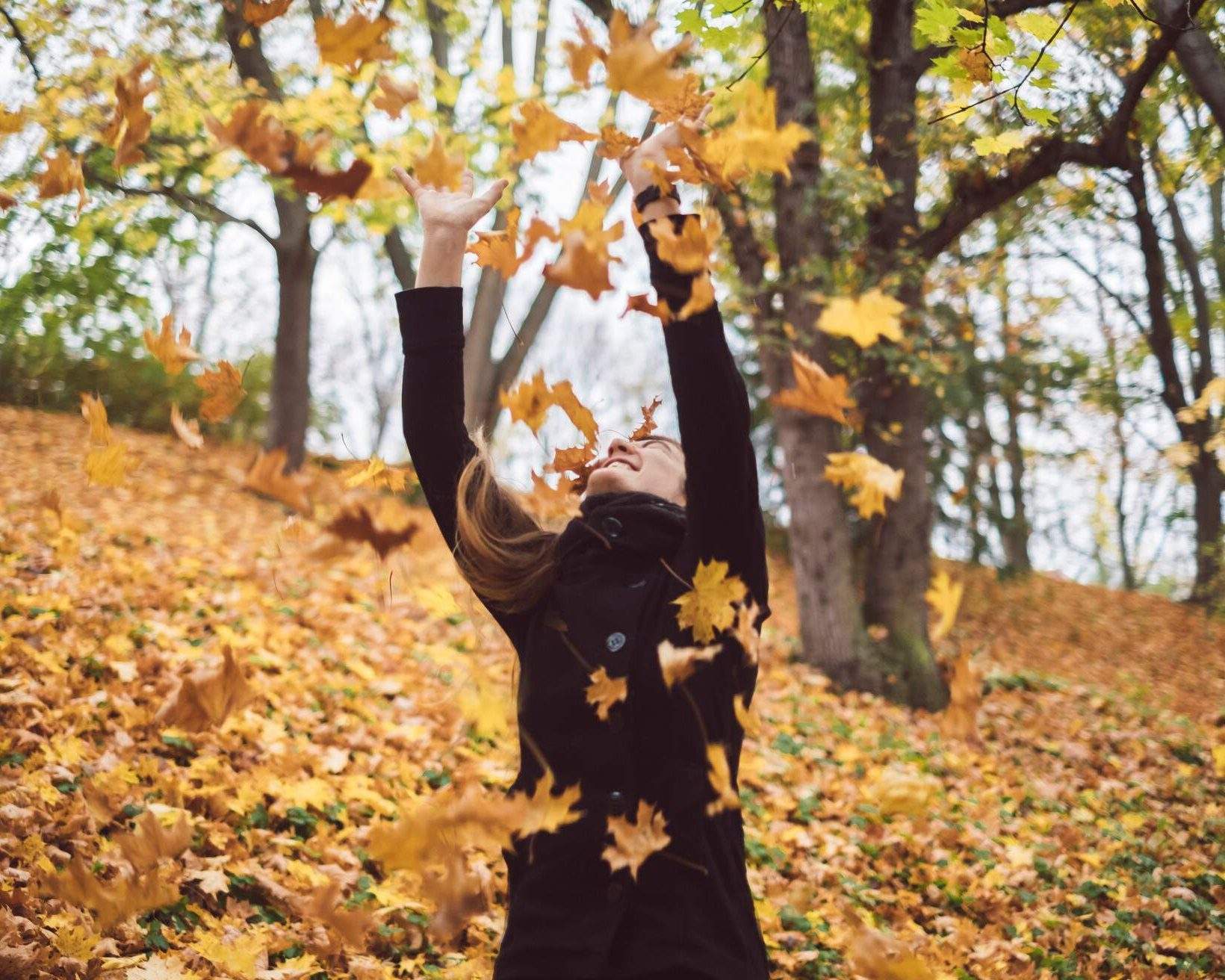 8 destinations phares où partir en automne en France | KAYAK