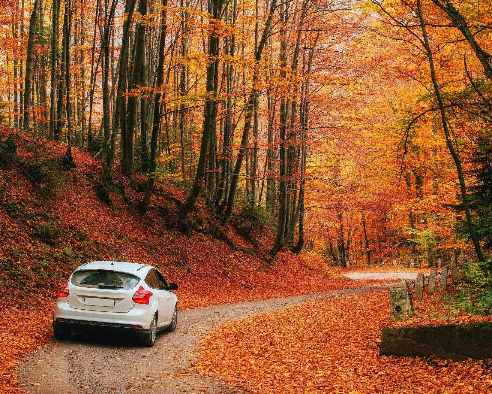 8 destinations phares où partir en automne en France | KAYAK