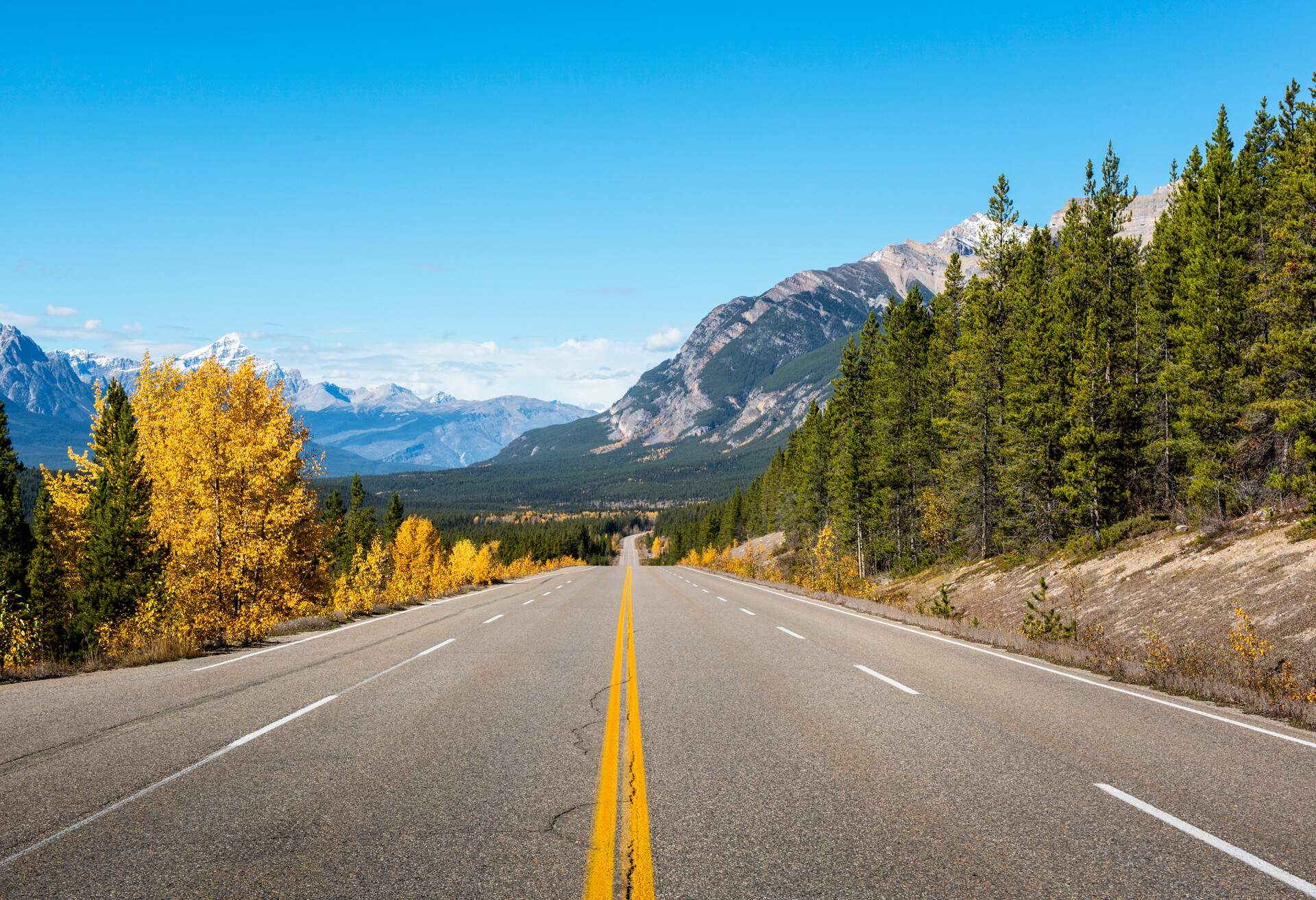 Top des meilleurs itinéraires pour un road trip au Canada | KAYAK