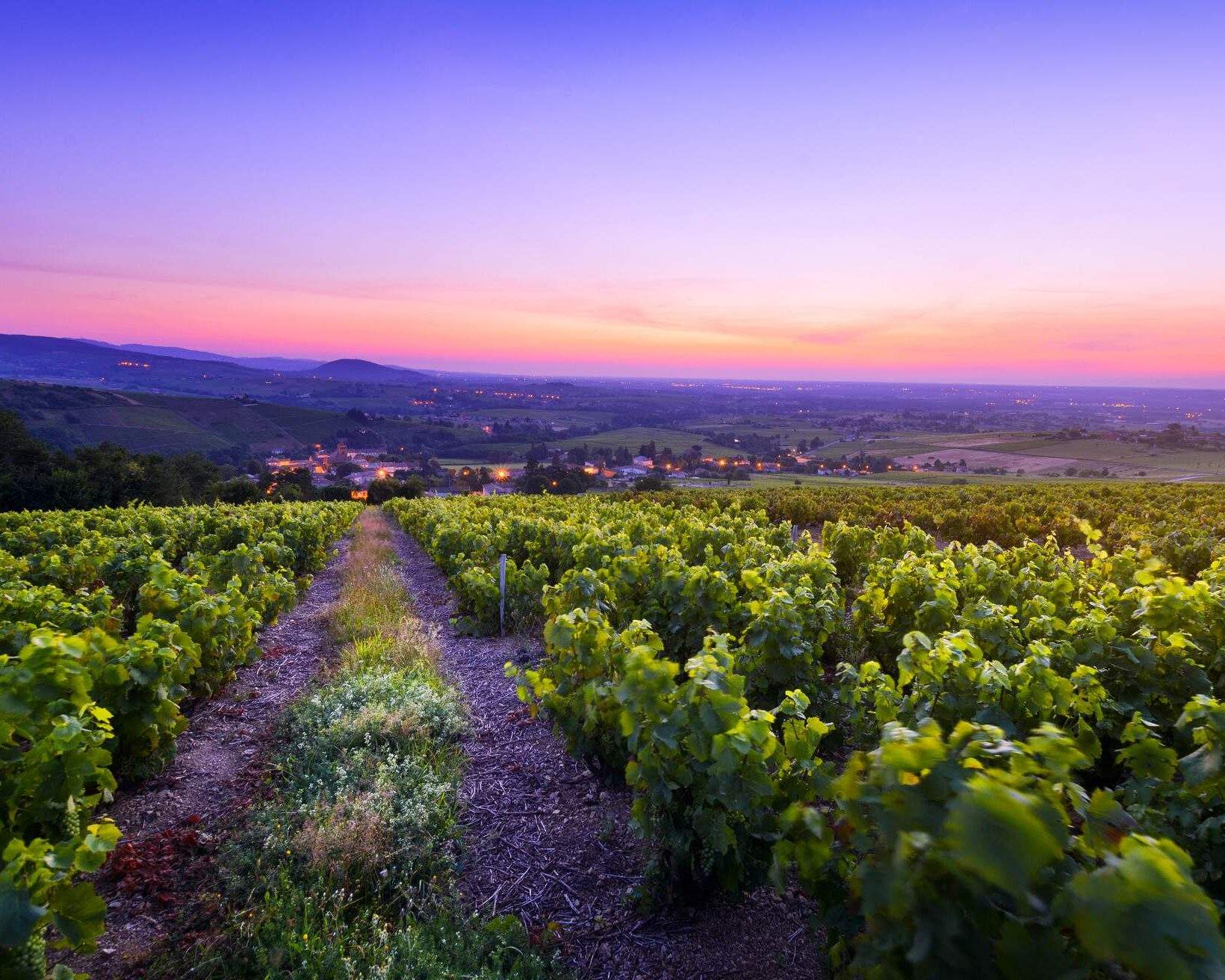 Que faire autour de Lyon : nos idées d’escapades | KAYAK