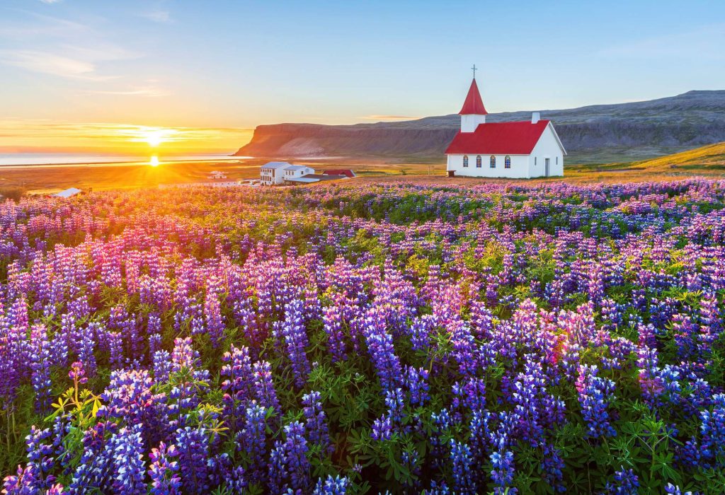 Les plus beaux endroits à visiter en Islande | KAYAK