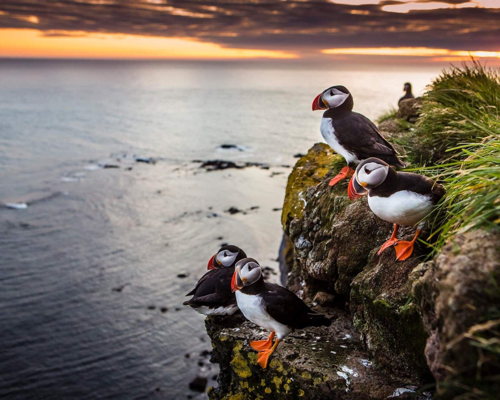 Les plus beaux endroits à visiter en Islande | KAYAK