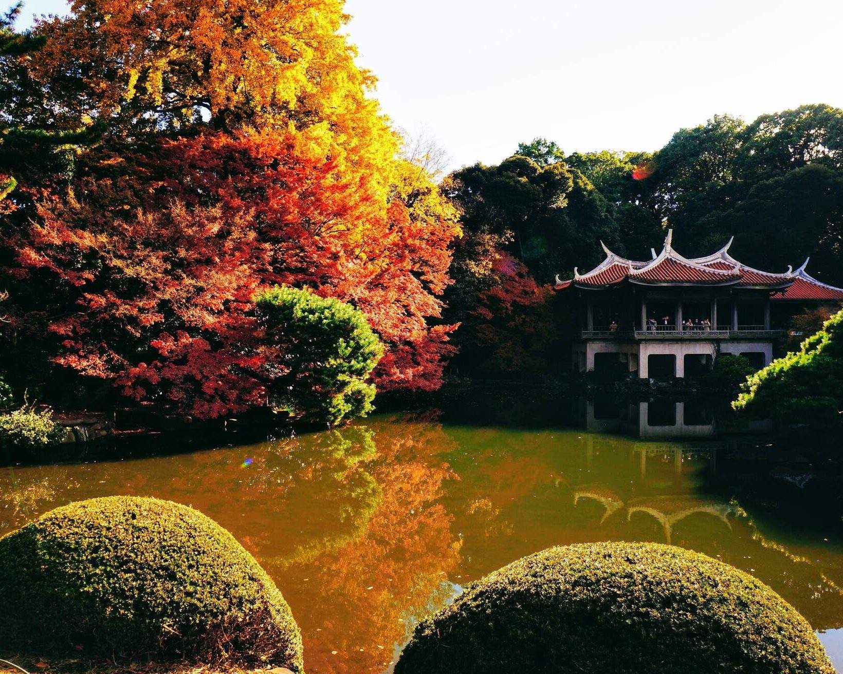 Que faire à Tokyo ? Nos 12 endroits coups de cœur. | KAYAK