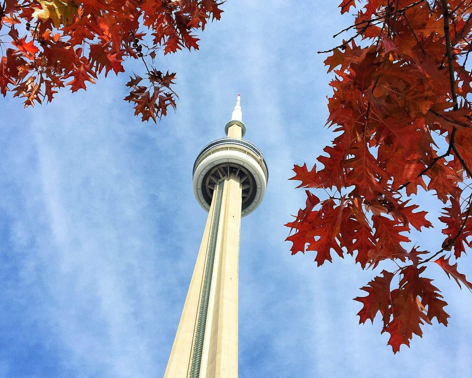 Que voir et que faire à Toronto lors de votre voyage | KAYAK