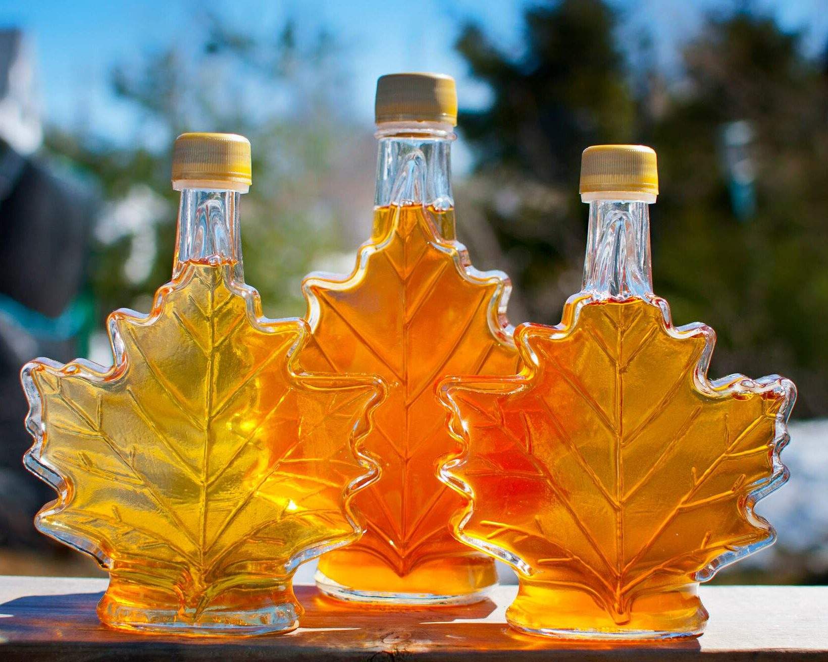 Les meilleures spécialités culinaires du Canada | KAYAK