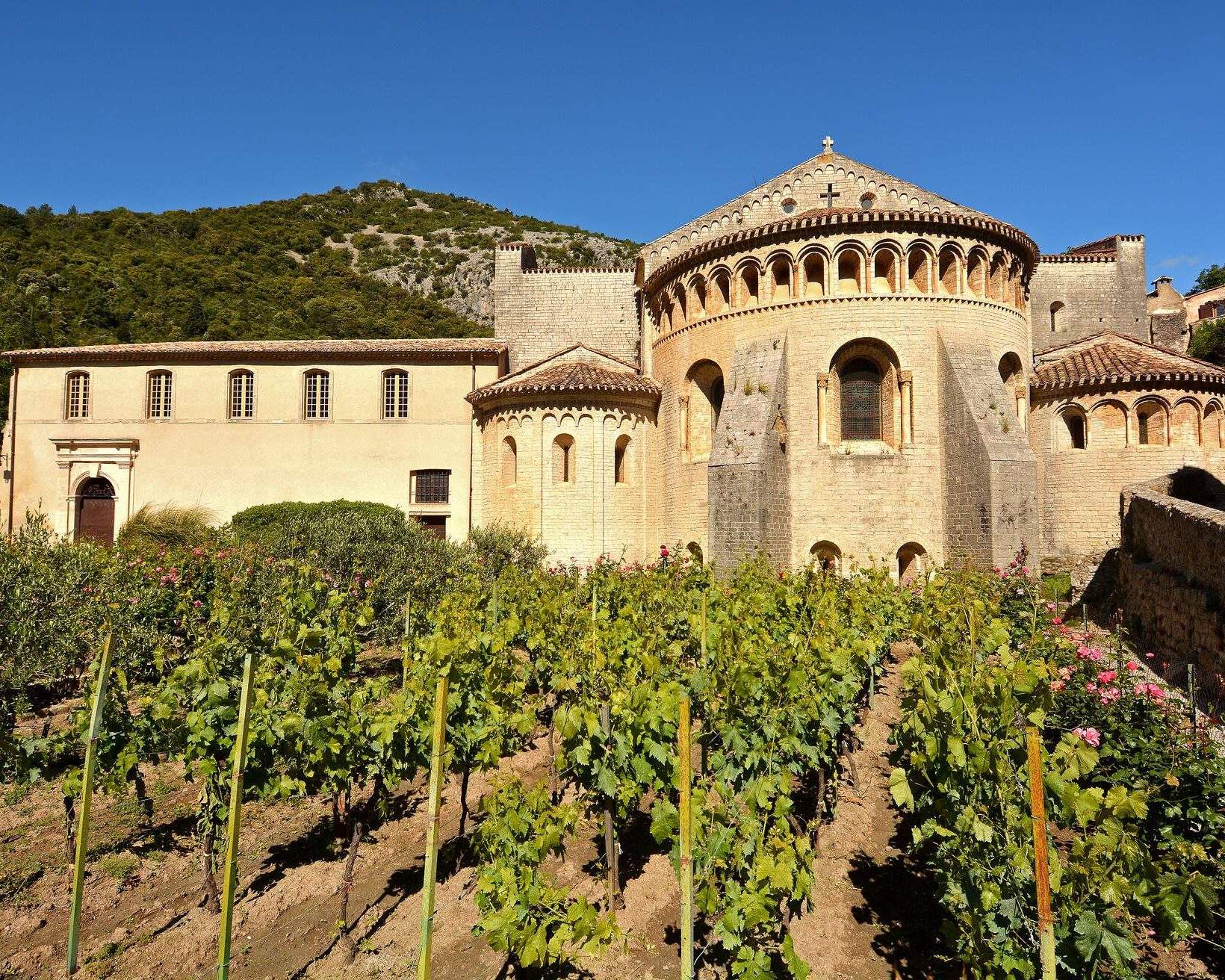 Que faire autour de Montpellier : les incontournables | KAYAK