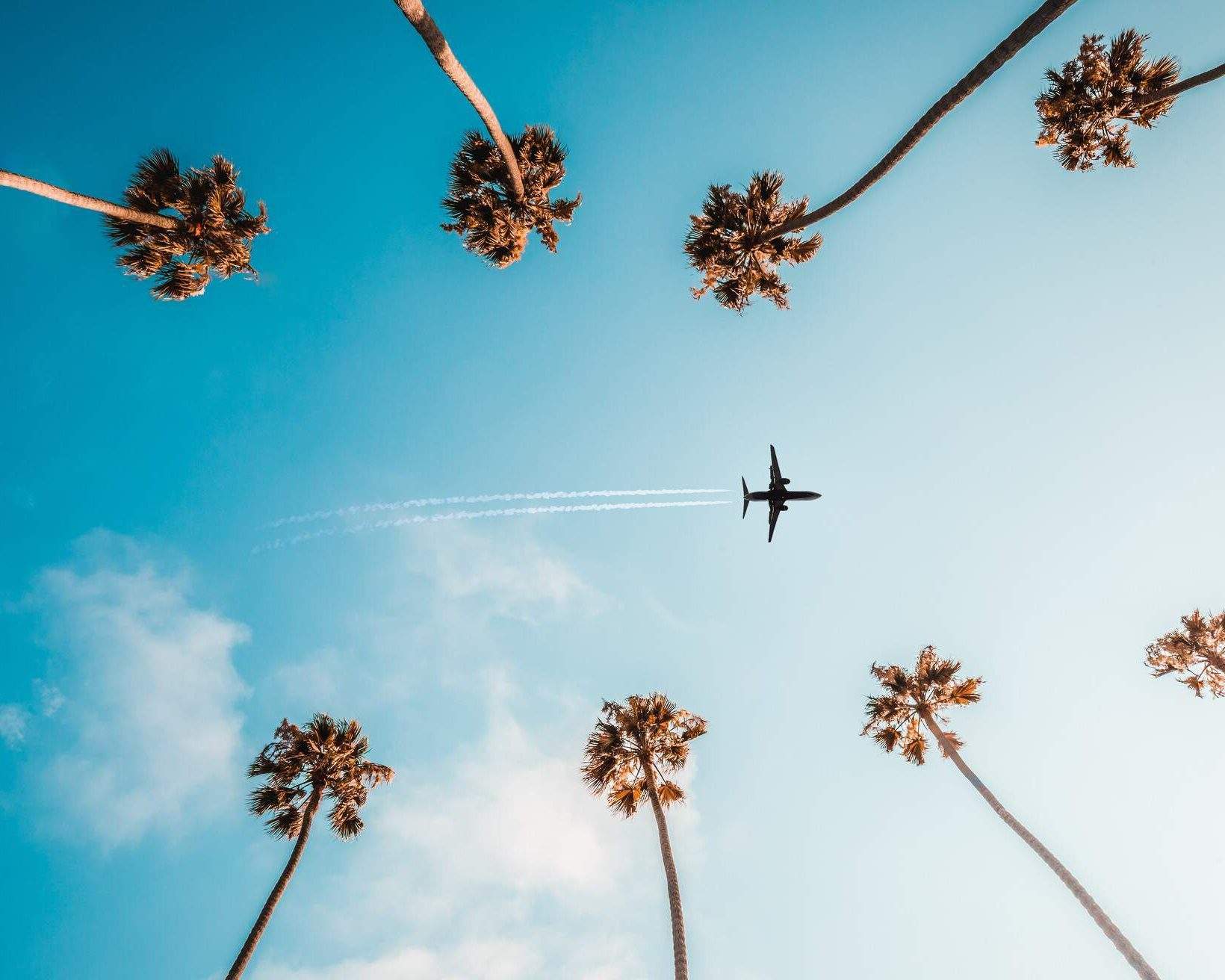 Guide pour choisir la meilleure place en avion | KAYAK