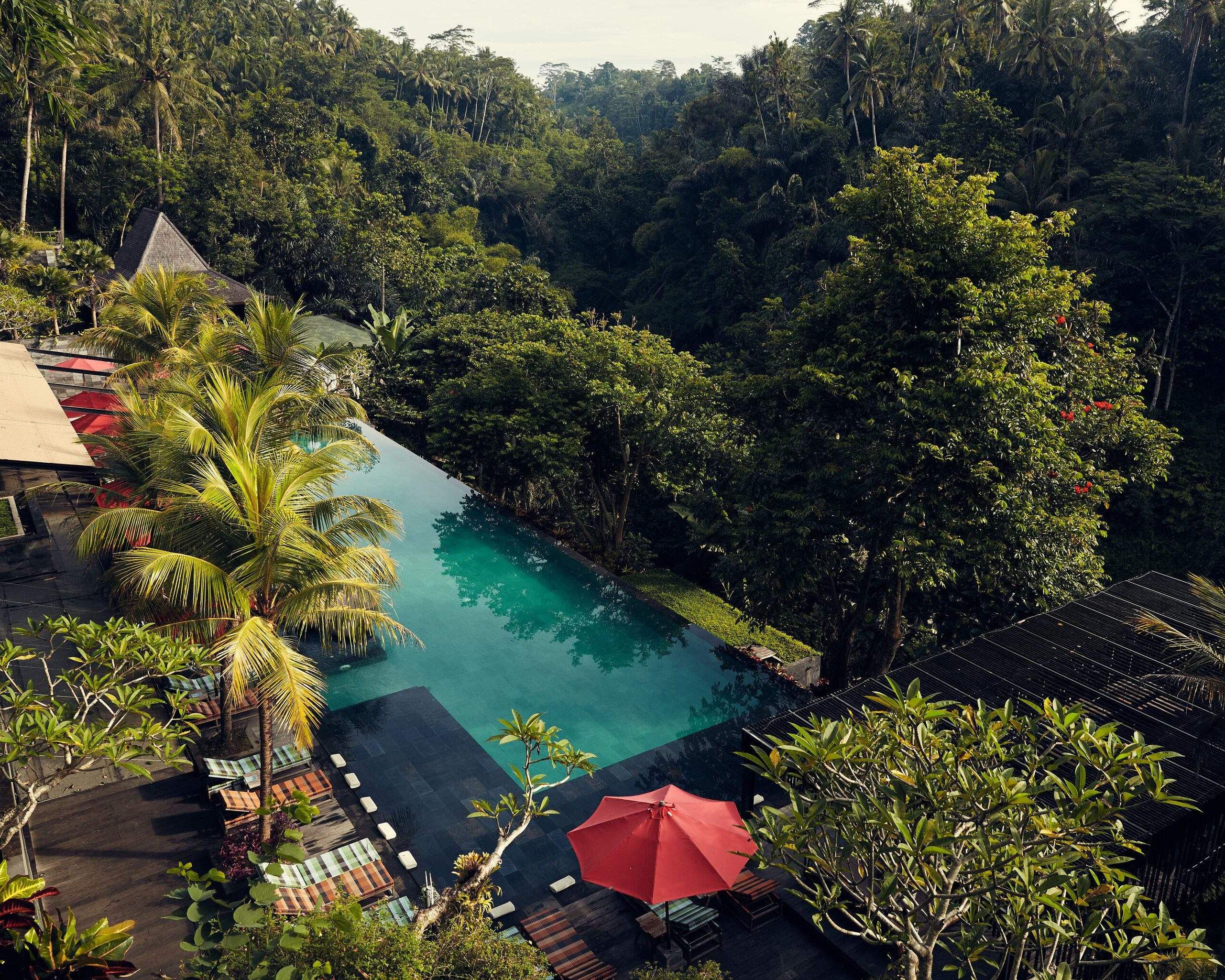 Quand partir à Bali : le guide pour un temps idéal - KAYAK