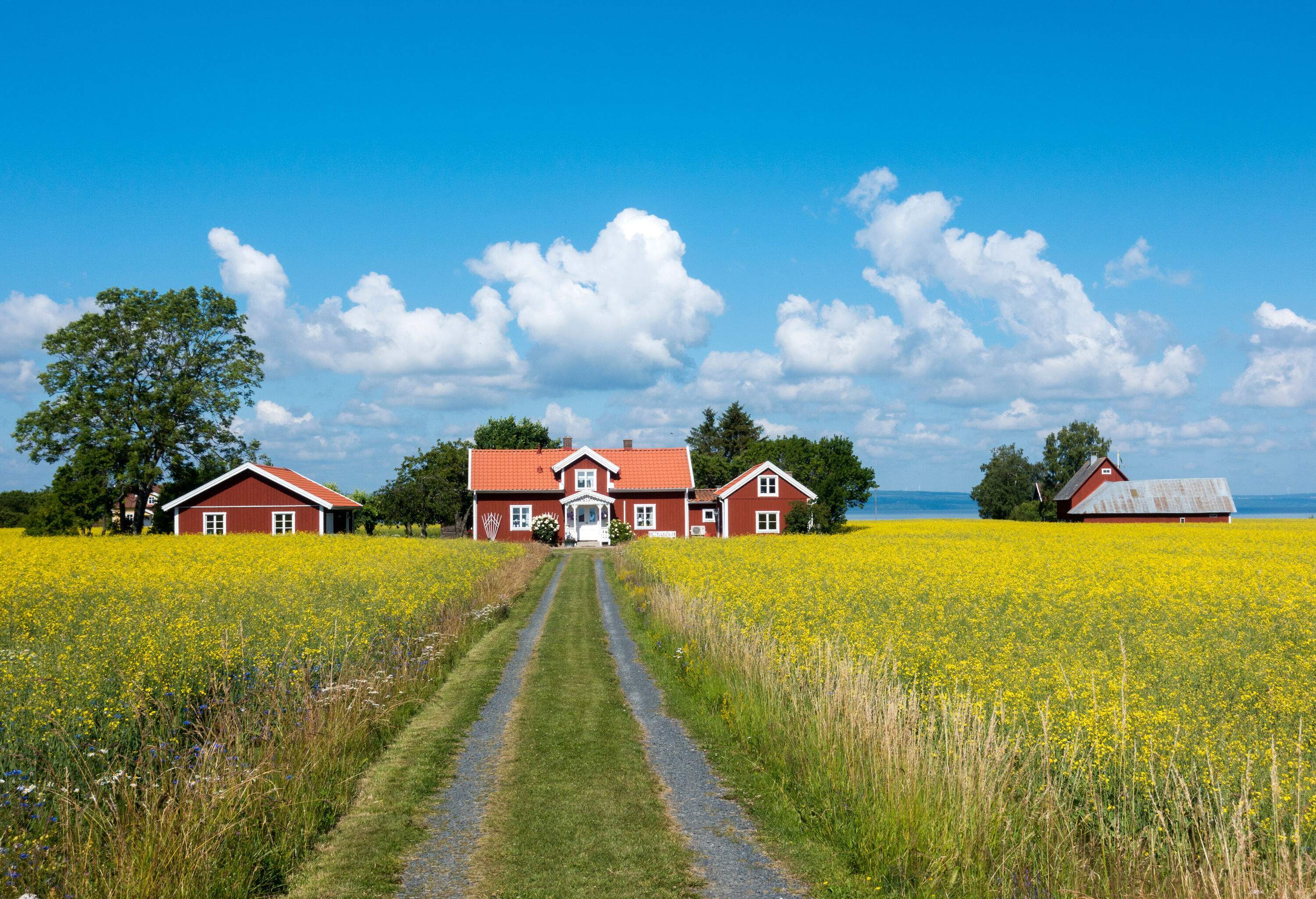 Un superbe itinéraire pour votre road trip en Suède | KAYAK